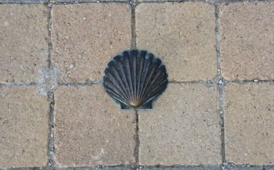 The Camino Shell – Backcountry Pilgrim